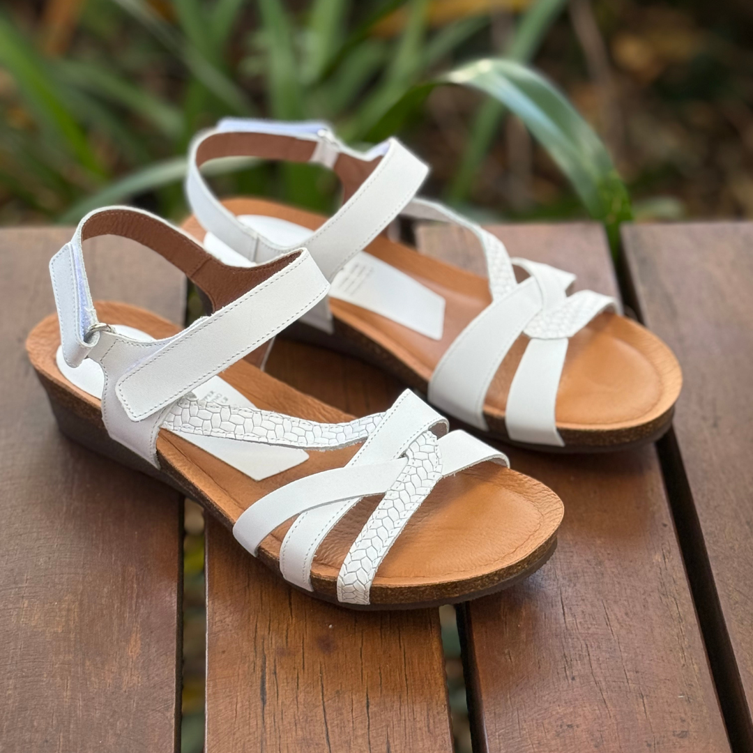 Zeta Ocean - White Sandals | Online and Instore – Shannons Shoes